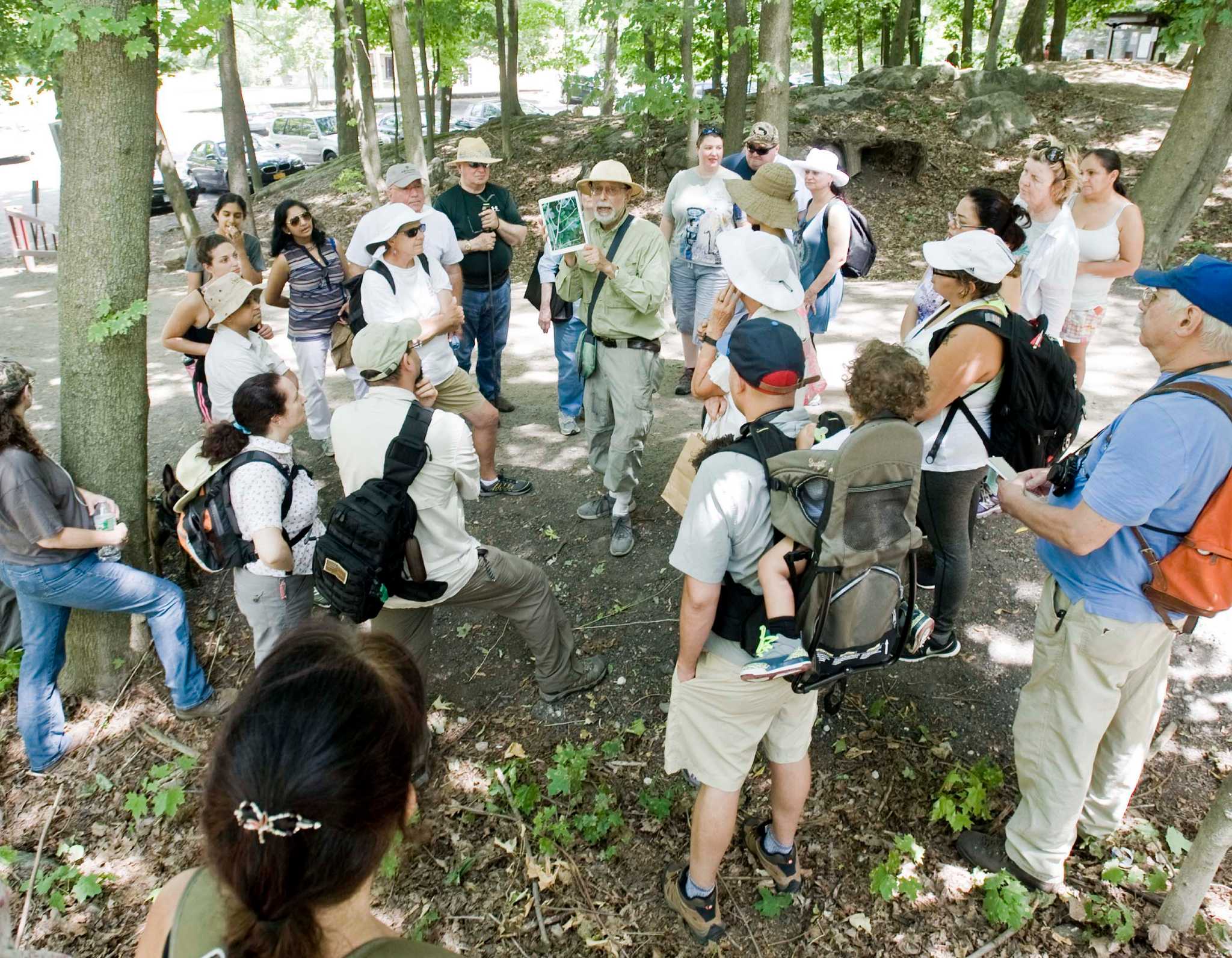 Foraging tour uncovers edible plants in Danbury’s Tarrywile Park