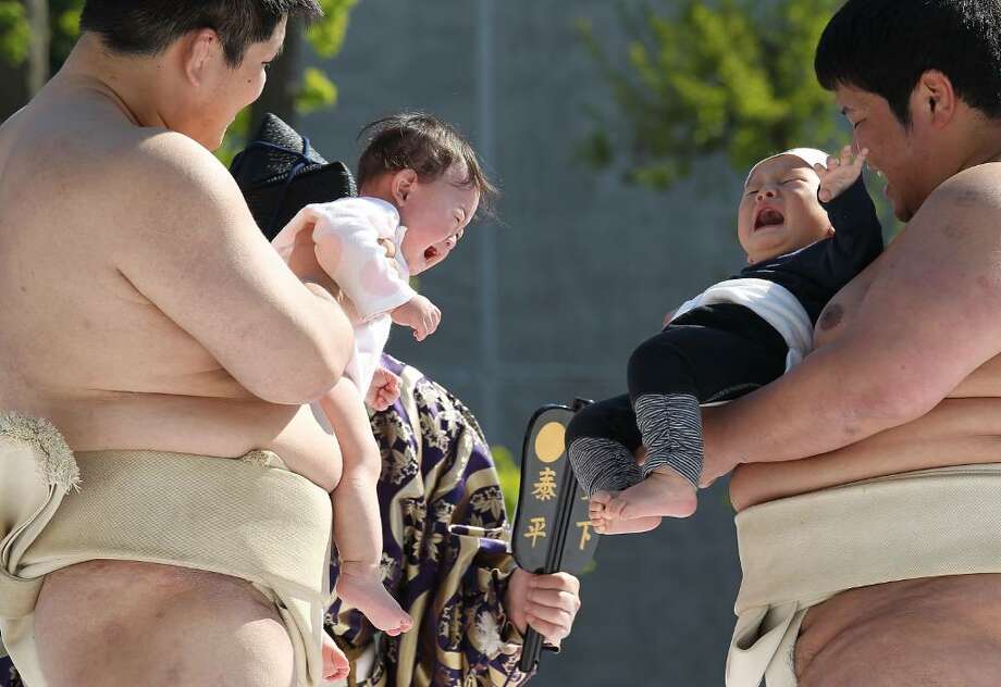 'Crying Sumo' competition - NewsTimes