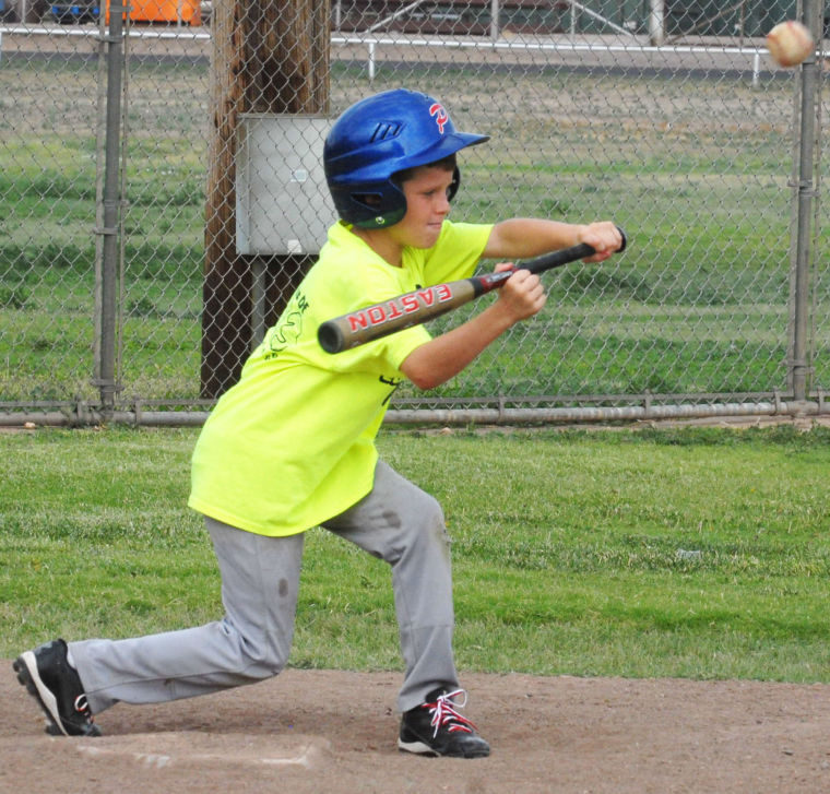 Local youth baseball teams chase state titles