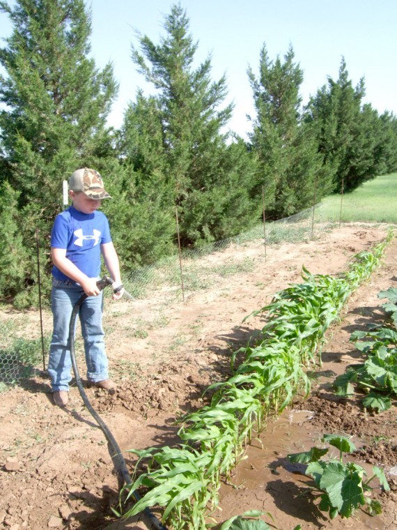 5-year-old enjoys tending his crops