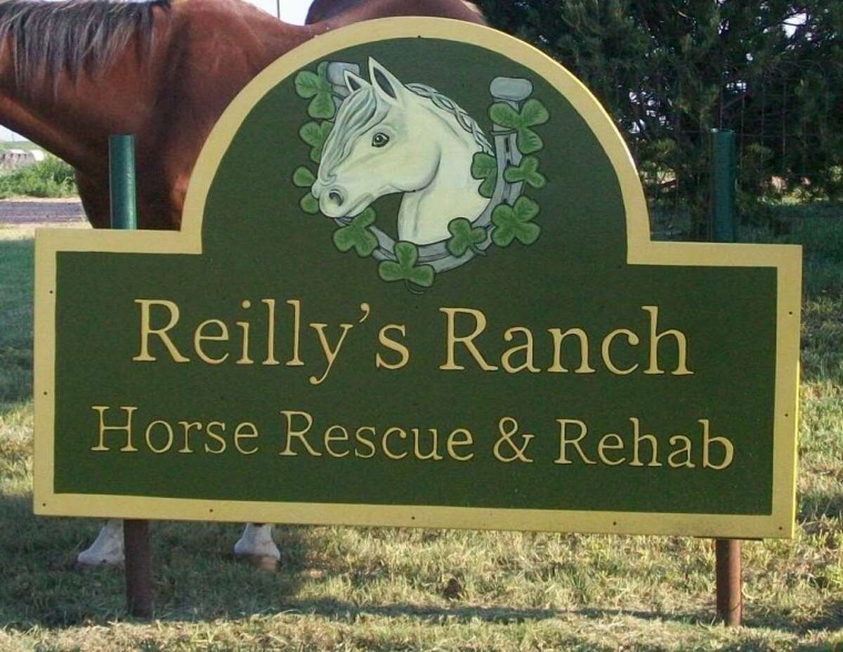 Horse rehab ranch is place of healing
