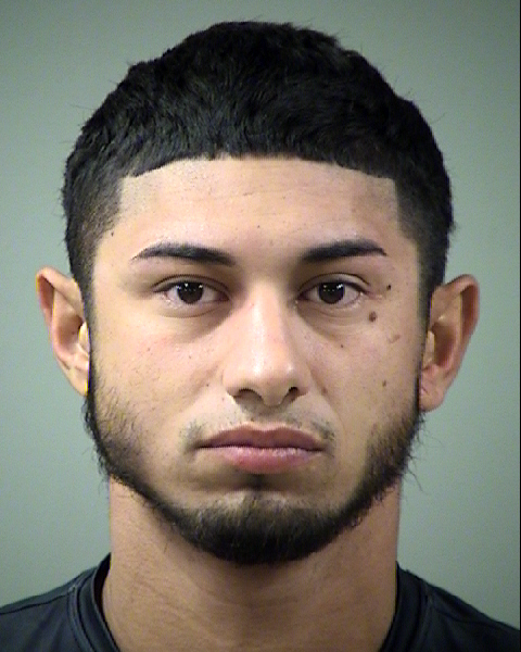 Tip from public leads deputies to huge haul of drugs, suspect on ...