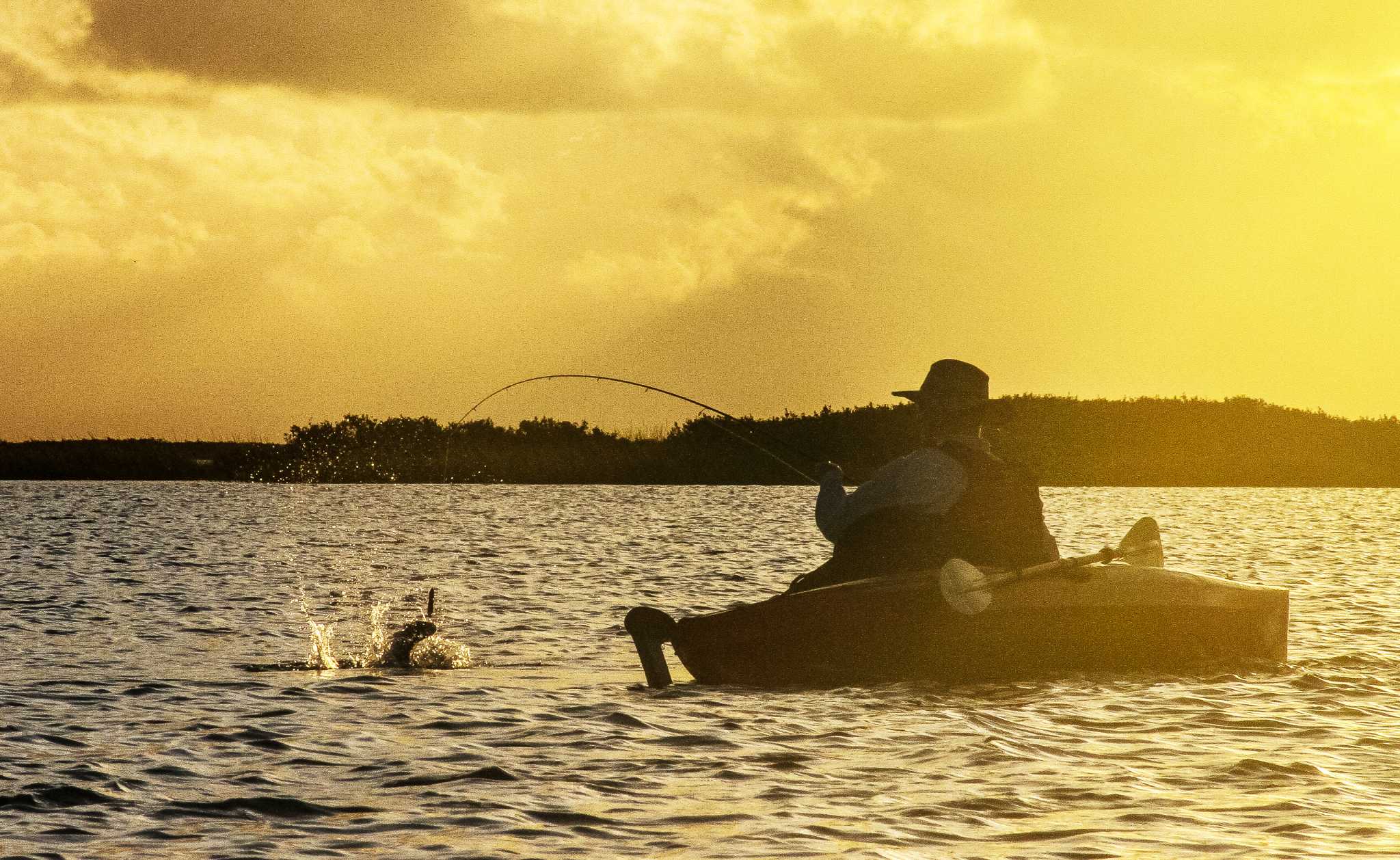 Kayaking offers intimate view of bay life