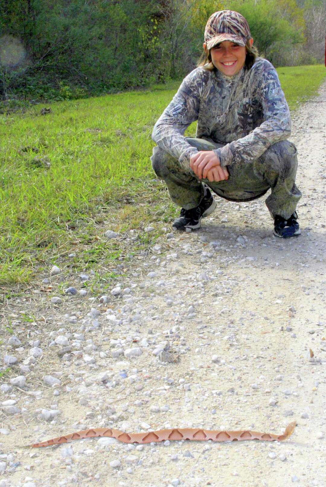 Snake bites keeping this Houston doctor busy