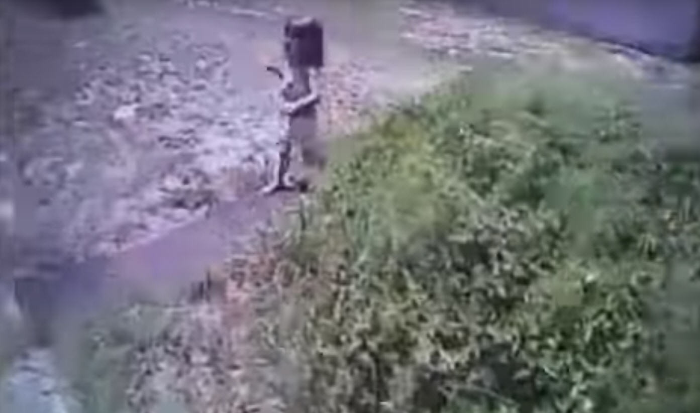 Video captures deputy's dramatic rescue of gunshot victim, kids