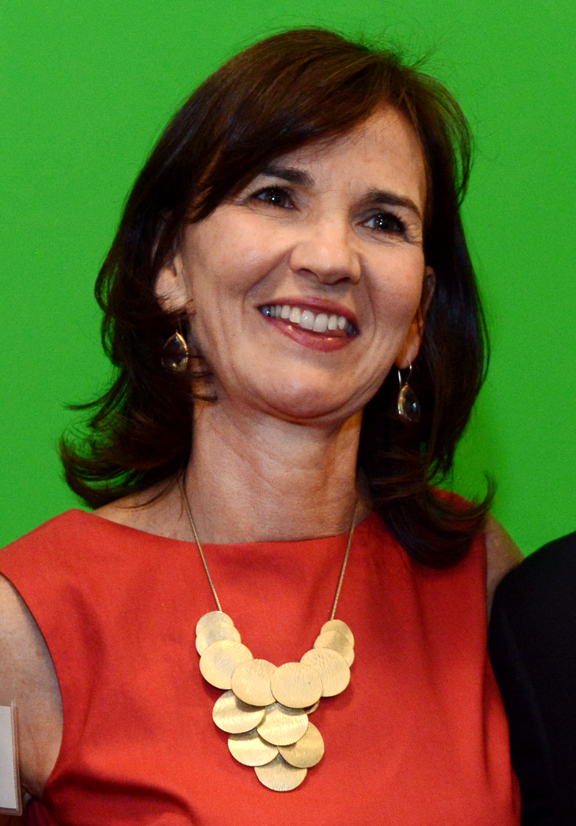 Angela Carella: Daly a crusader against corruption