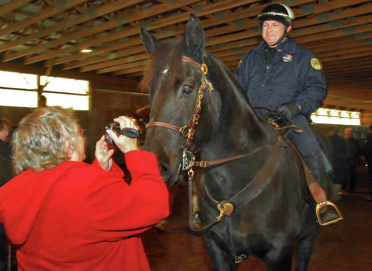 Horse rescued from neglect joins Albany police mounted unit