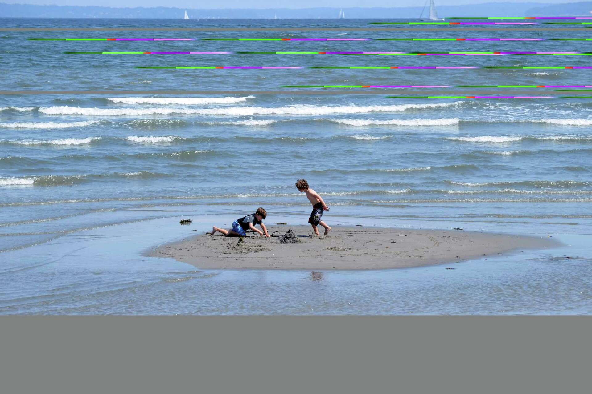 Sea lice warnings at Greenwich beaches