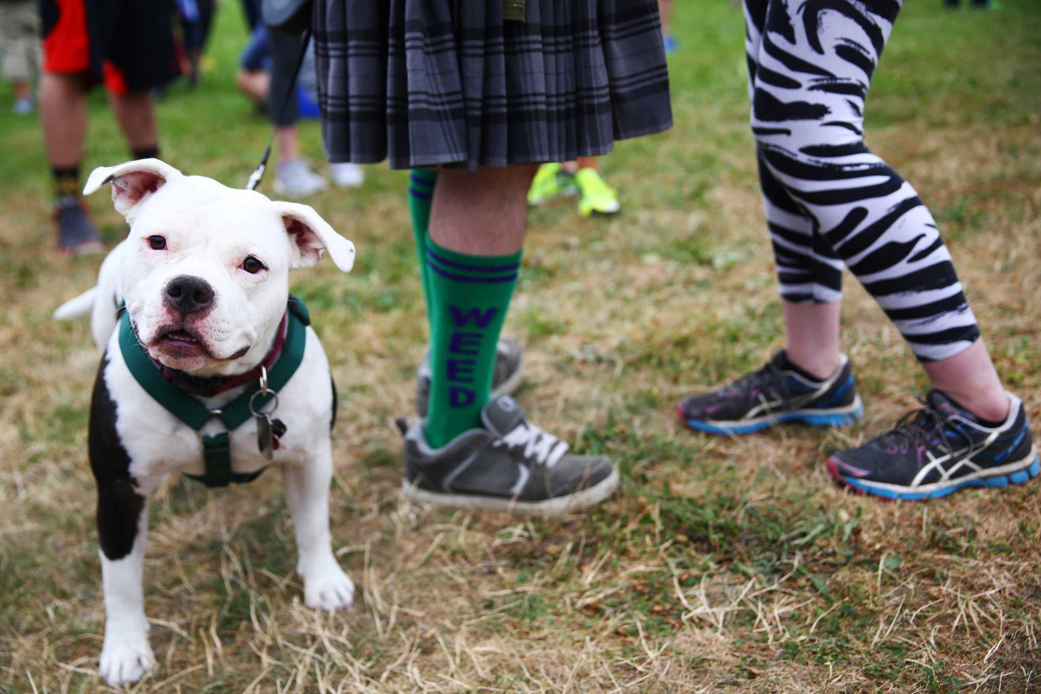 420 Games Seattle 2016