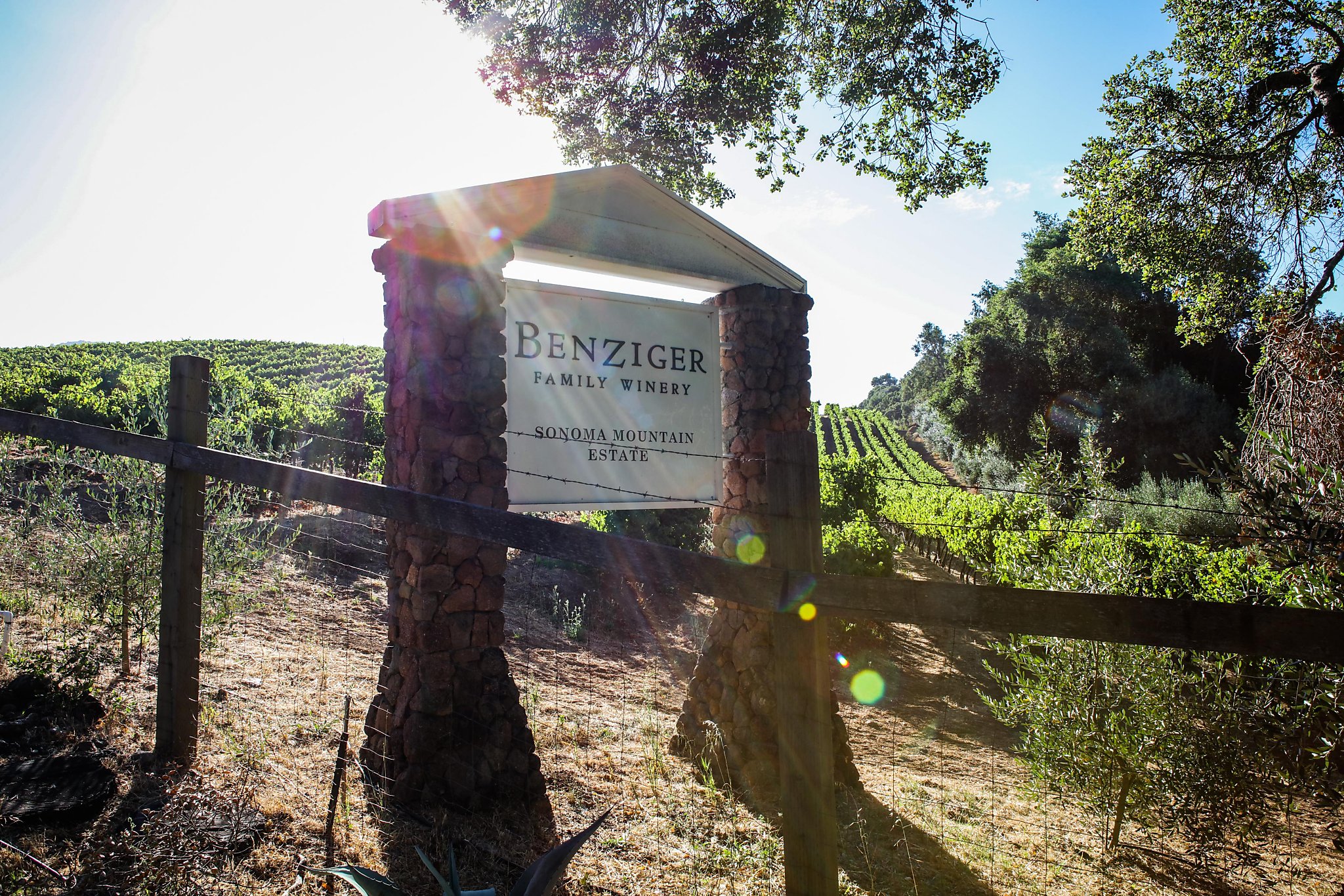 Tasting sustainable, organic and biodynamic wines at these 7 wineries