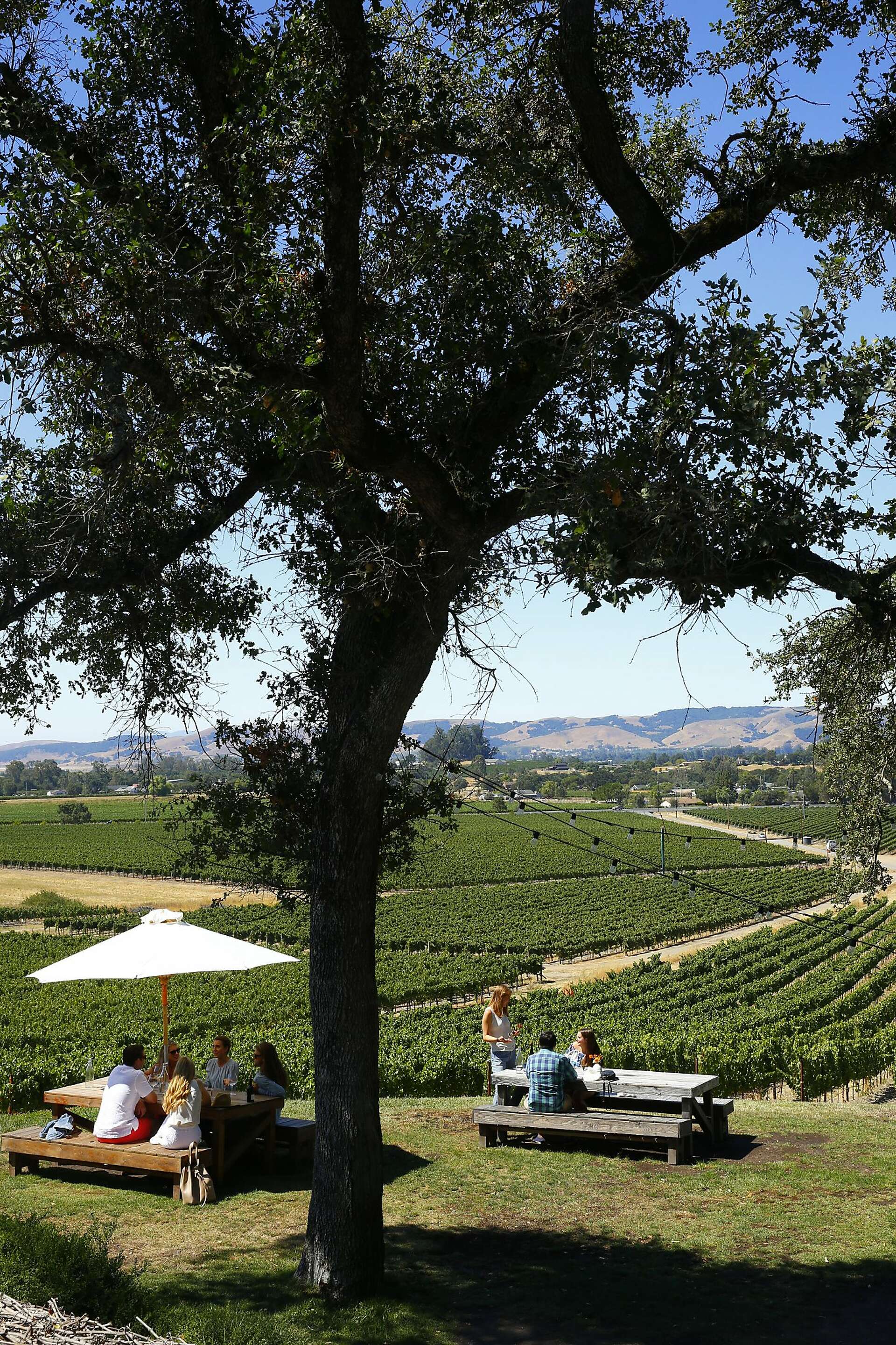 More than wine, Scribe bottles the Northern California lifestyle