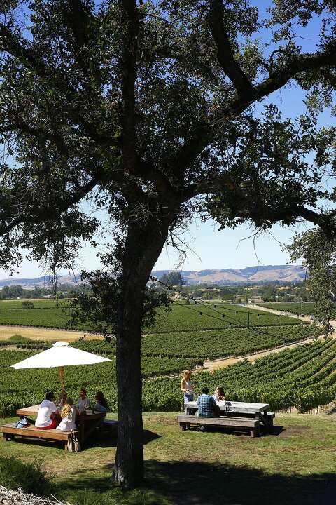 More than wine, Scribe bottles the Northern California lifestyle