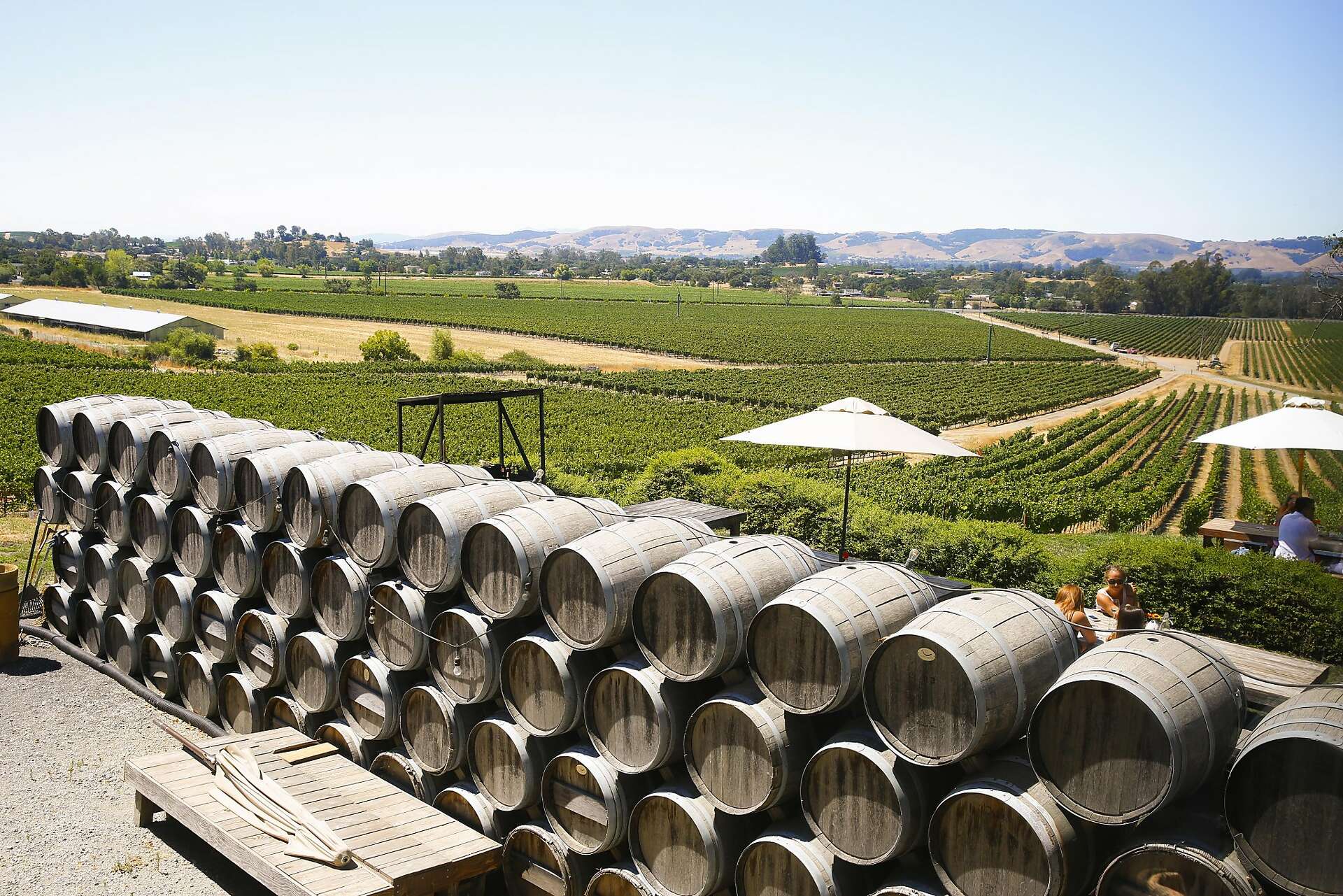 More than wine, Scribe bottles the Northern California lifestyle