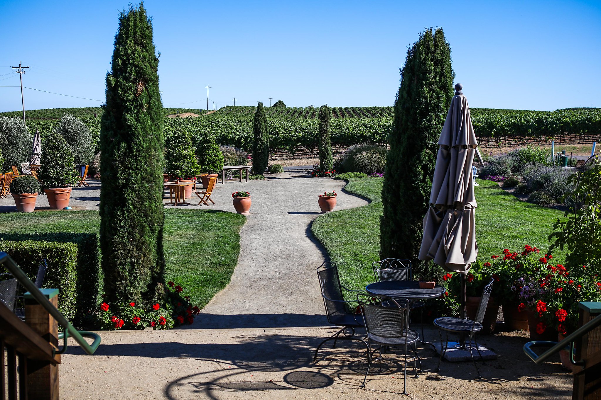 Bouchaine: the oldest winery in Carneros