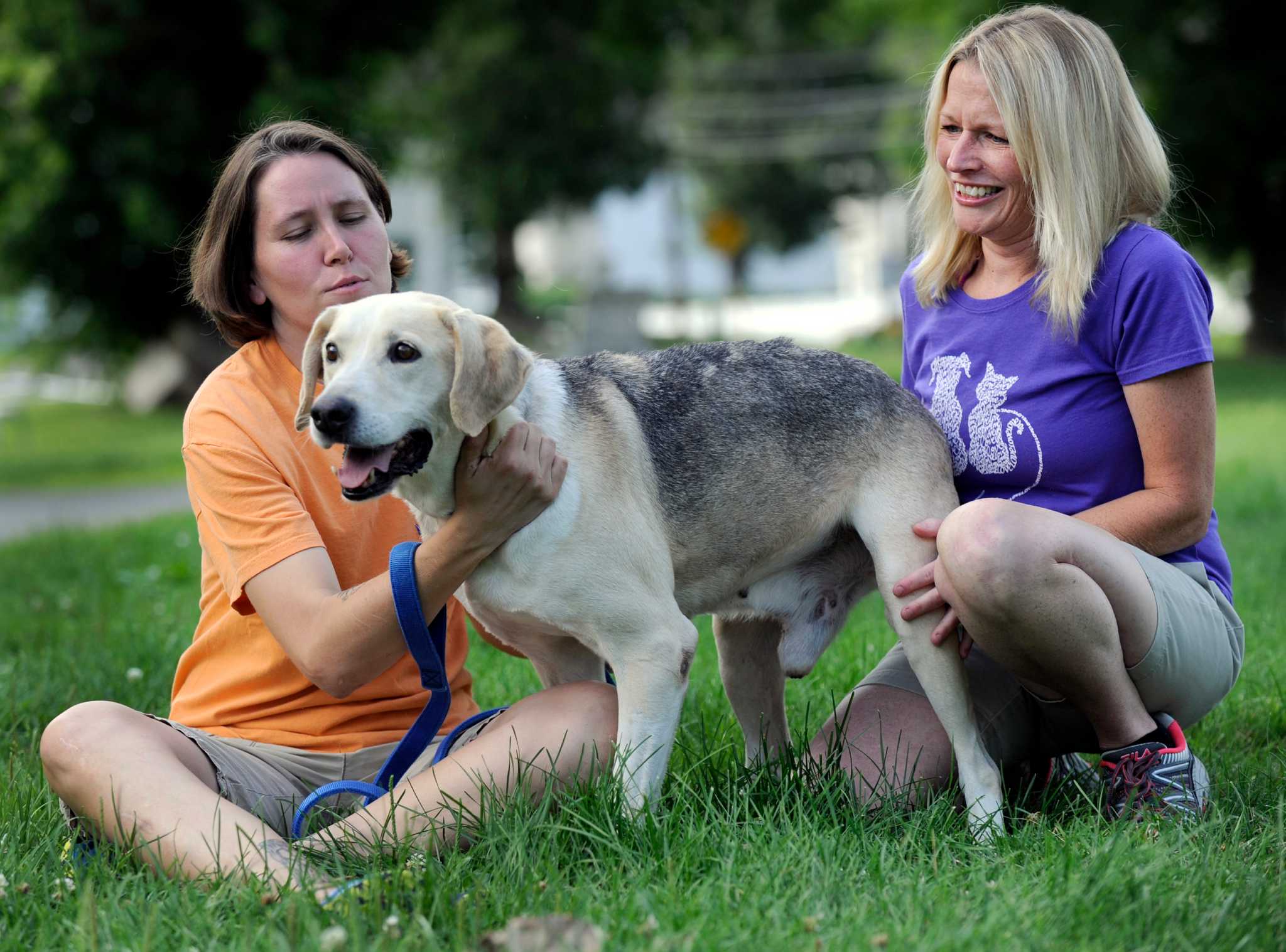 Catherine Hubbard program pairs senior pets with citizens