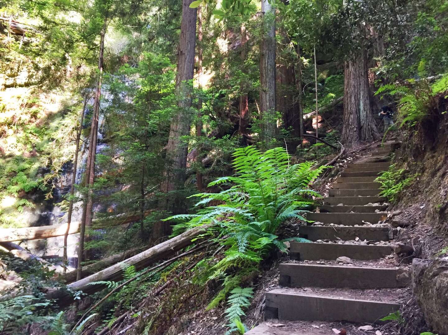 Find your next hike on detailed, huge trail map of California