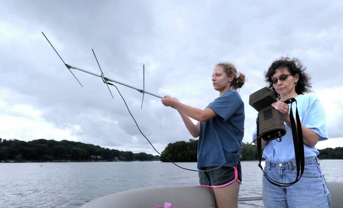 Researchers track milfoil-eating carp through Candlewood Lake