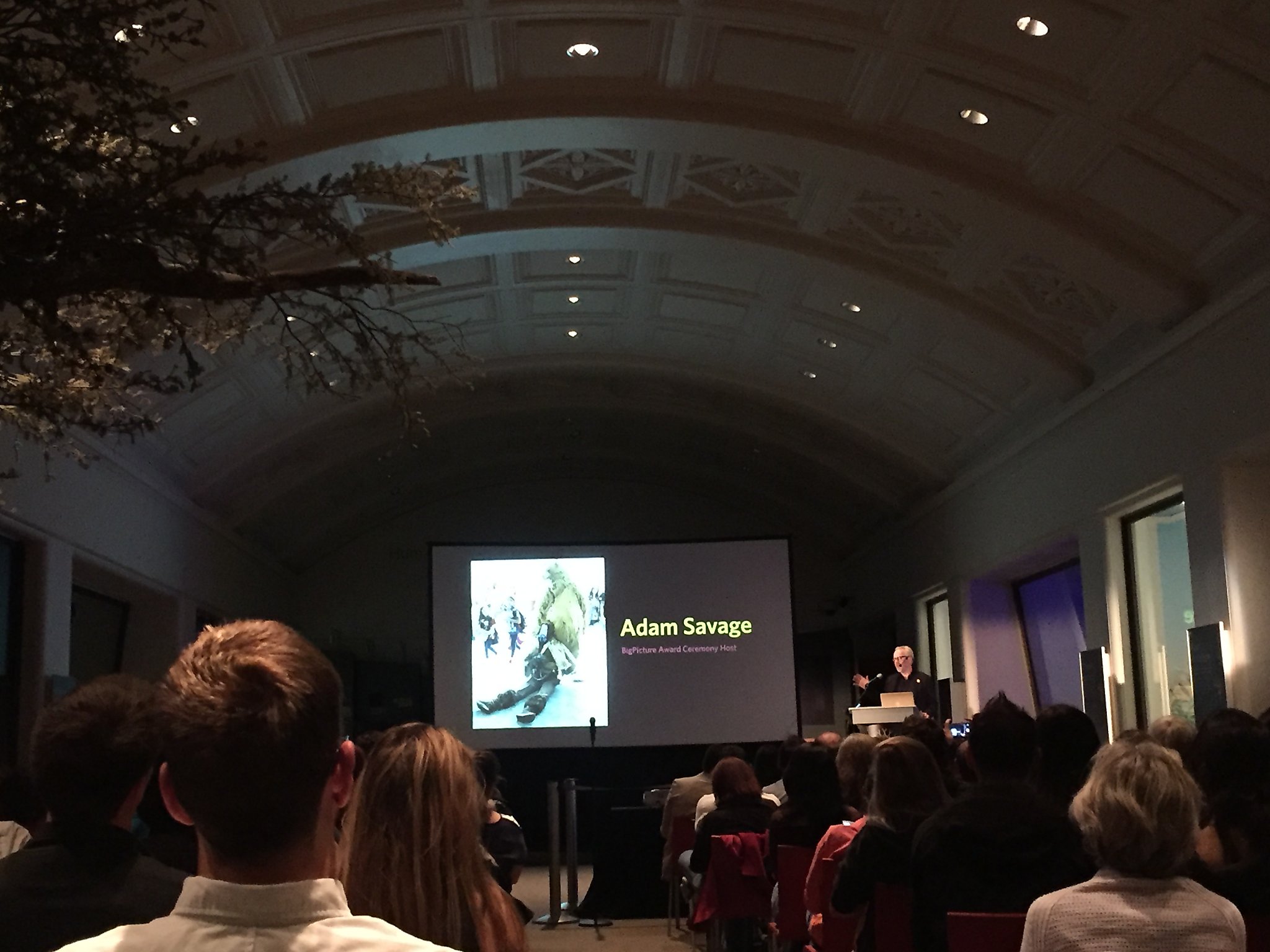 Photo competition fills Academy with two-dimensional animals