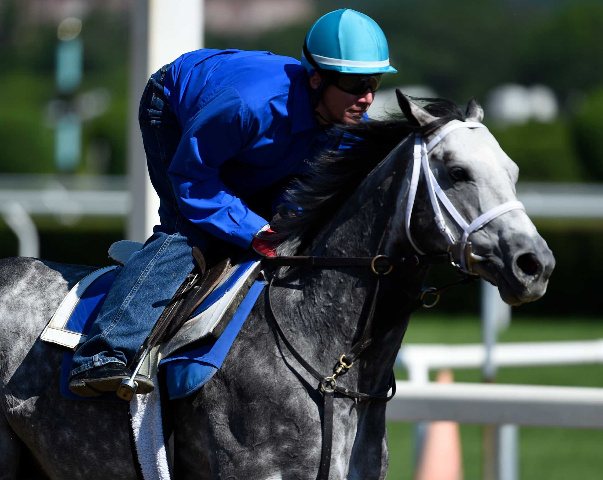 Six entered in Whitney field