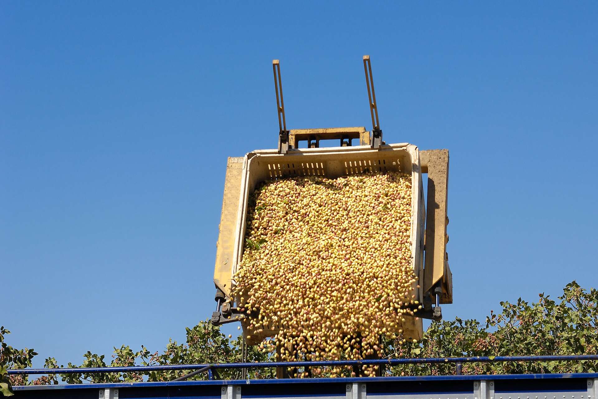 6 reasons organized crime in Calif. has 'gone nuts'