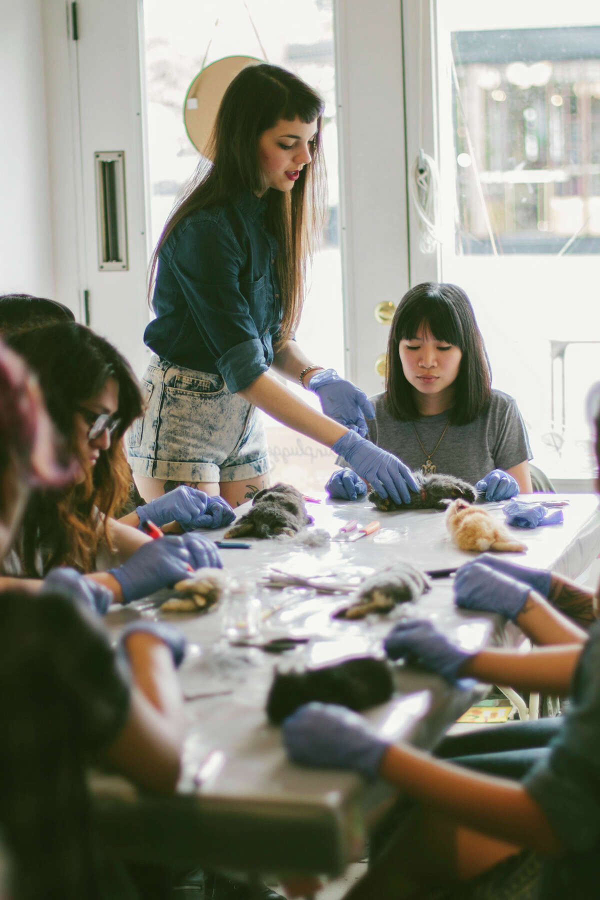 Artist to teach pop-up taxidermy class in Bay Area