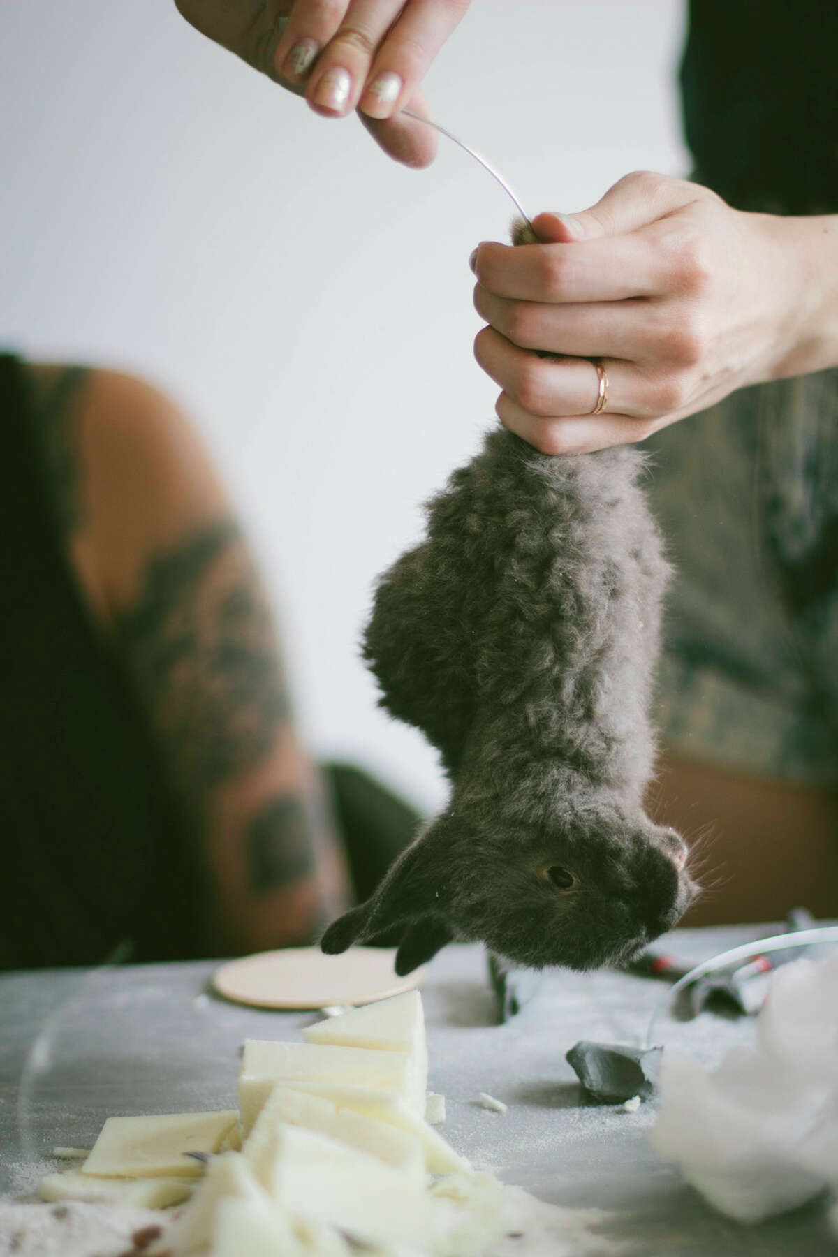 Artist to teach pop-up taxidermy class in Bay Area