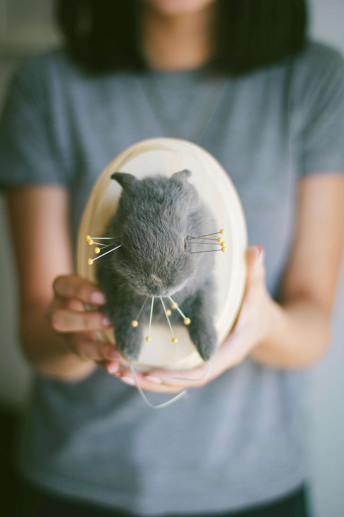 Artist to teach pop-up taxidermy class in Bay Area