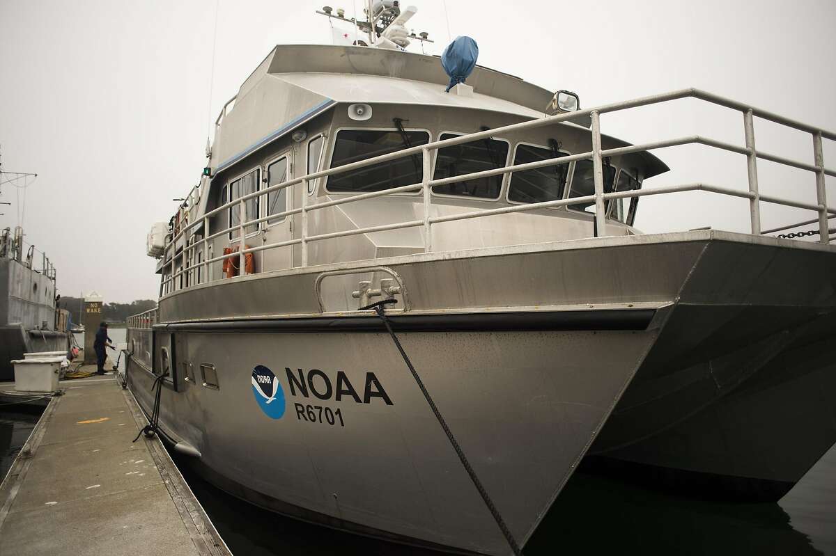 Expedition by land, sea to document state’s timber industry history