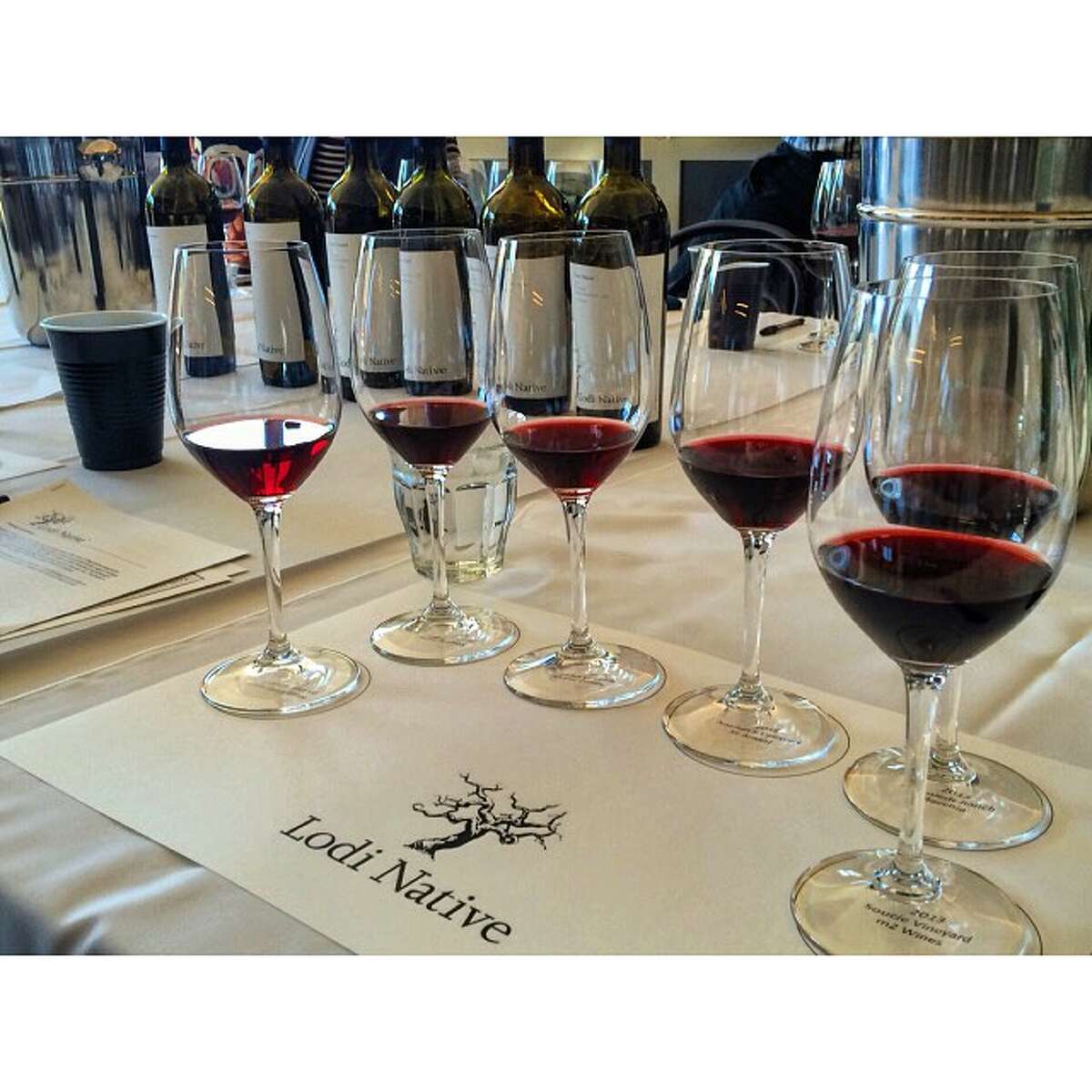 Pedaling the vineyards of Lodi