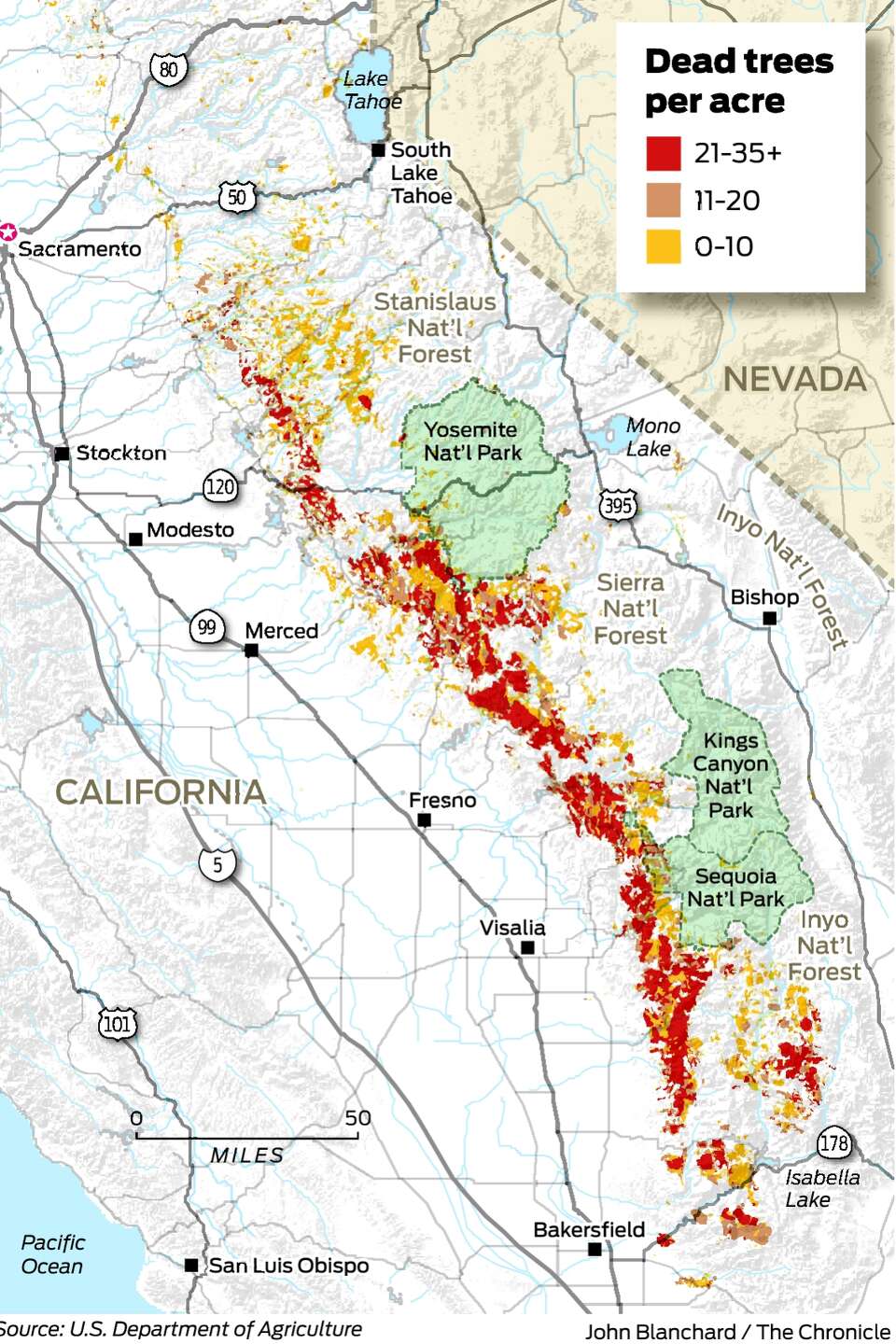 An eye-opening flight over California’s dying forests