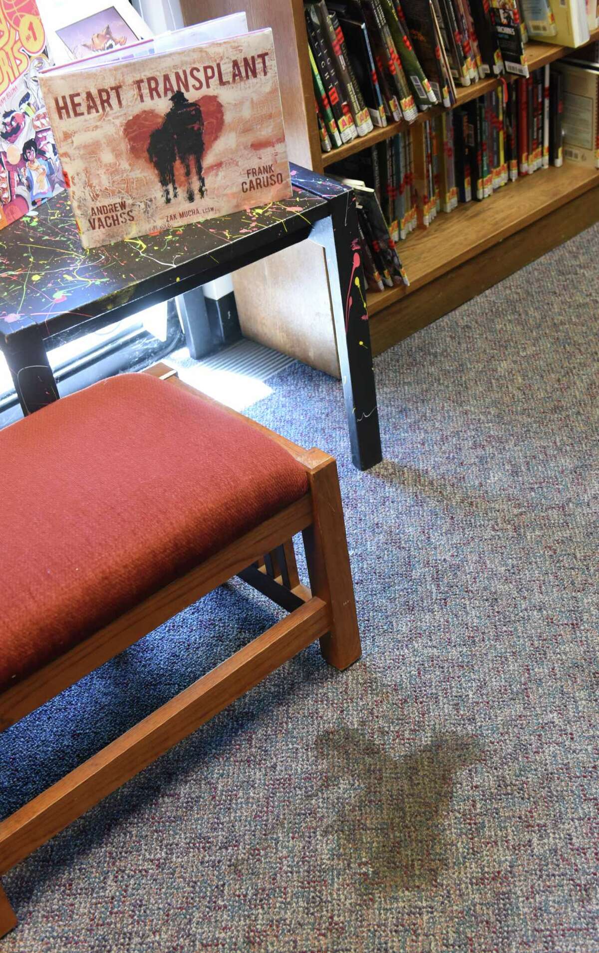 Colonie library to stay, needs renovations