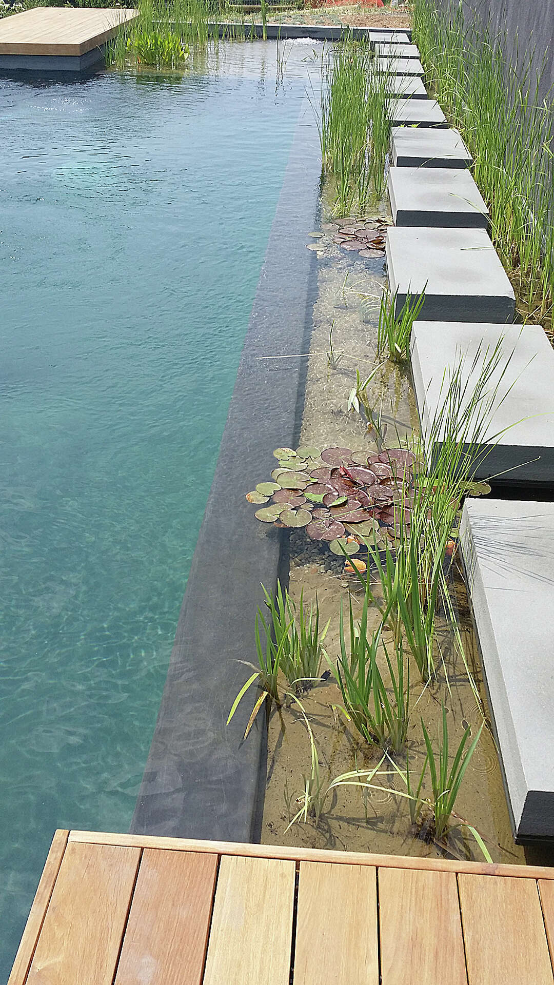 Local contractor gets ahead of natural pool trend