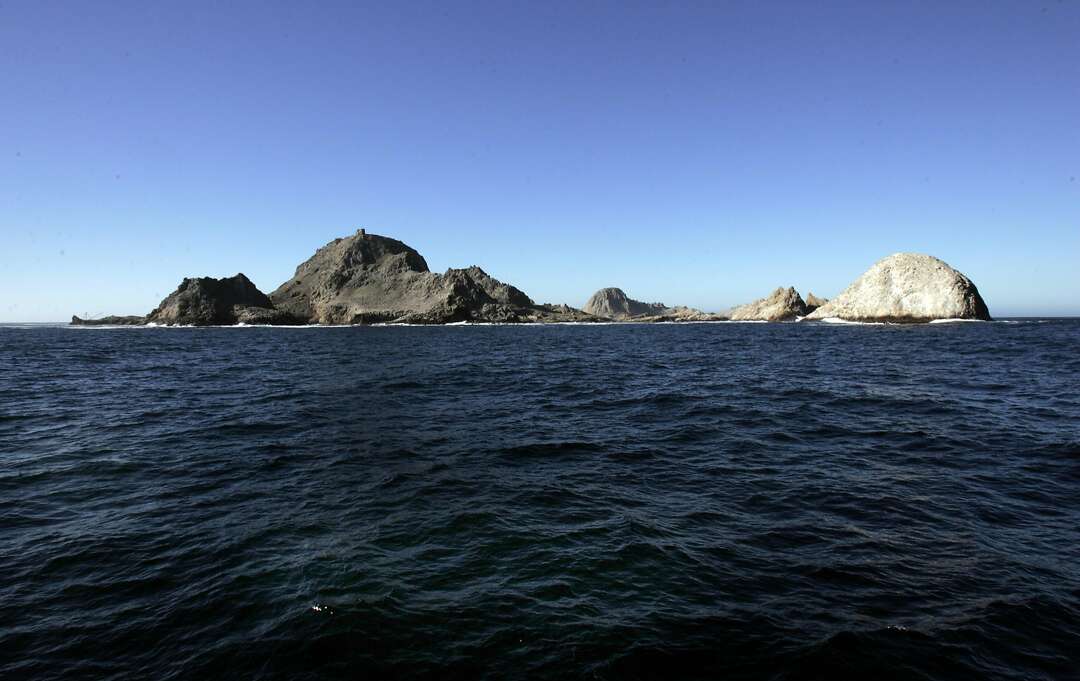 17 fascinating facts about the Farallon Islands, just off San Francisco ...