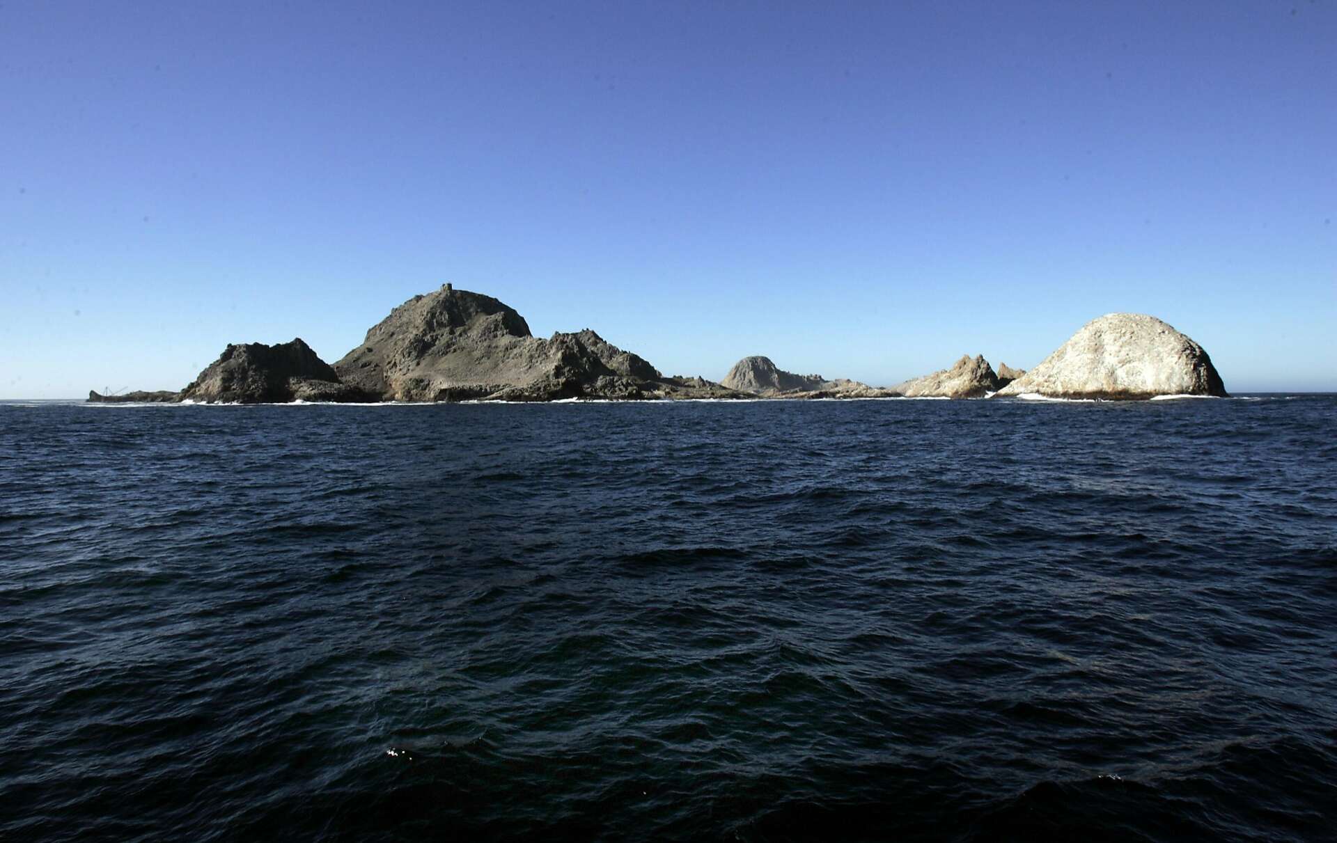 17 fascinating facts about the Farallon Islands, just off San Francisco ...