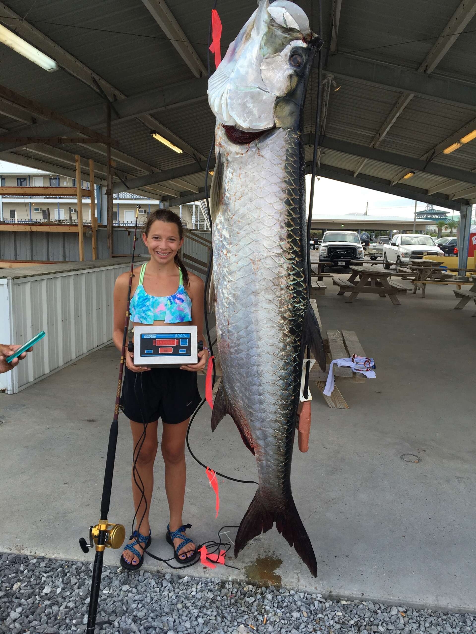 14-year-old girl catches potentially world record-breaking tarpon in ...