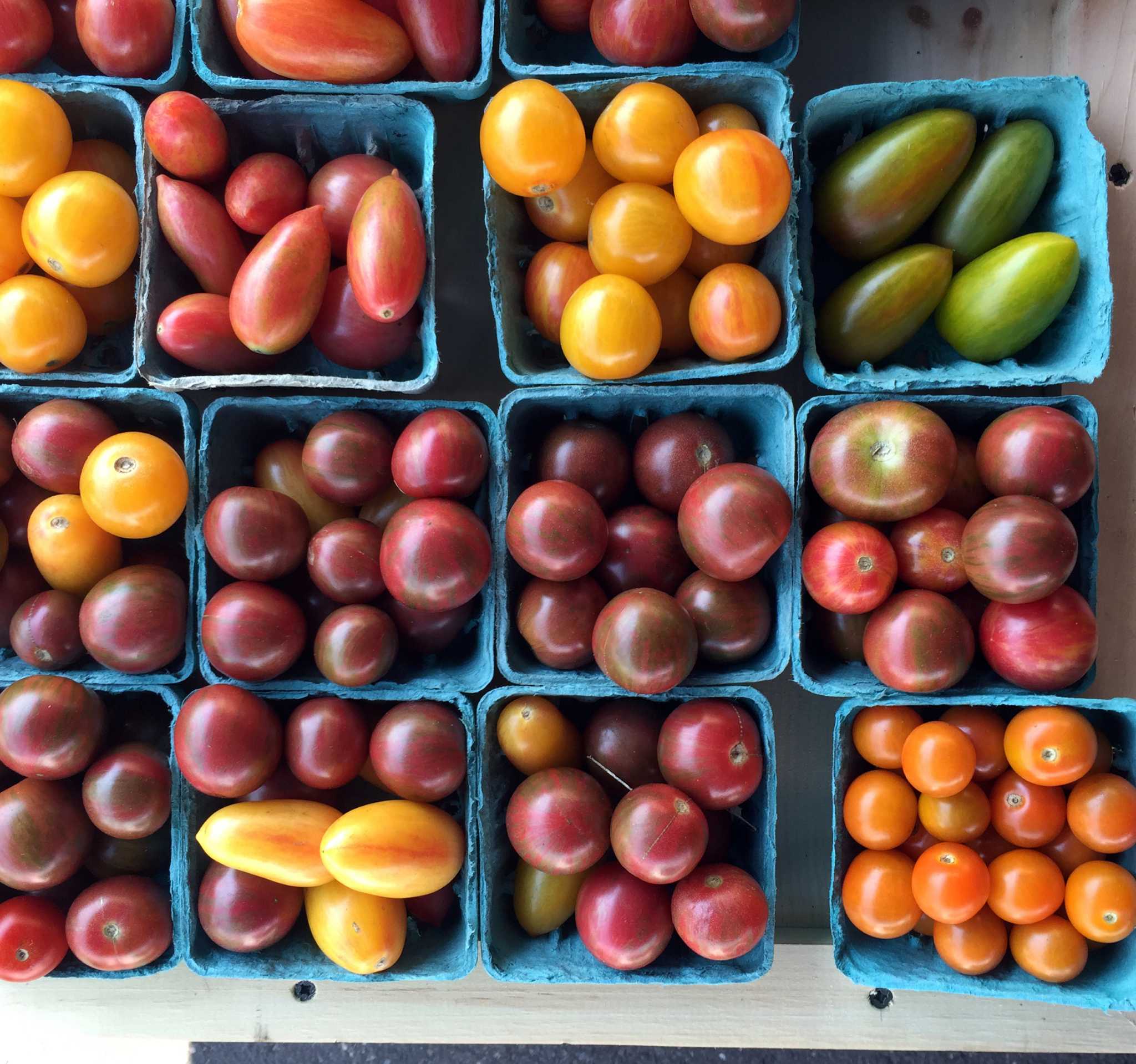 Greenwich YWCA joins Field Goods list of pickup locations