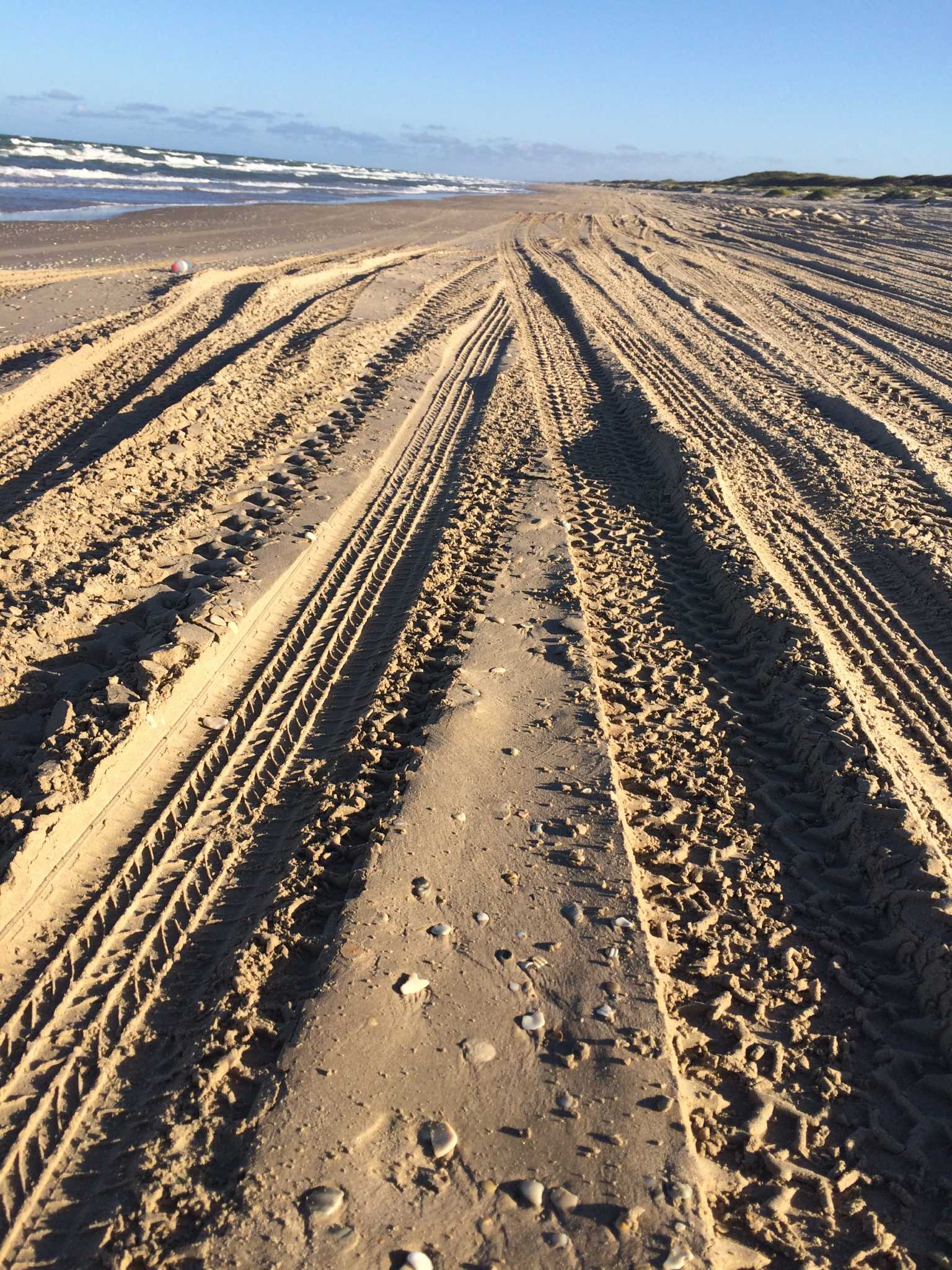 Little Shell Beach Texas Padre Island National Seashore — A