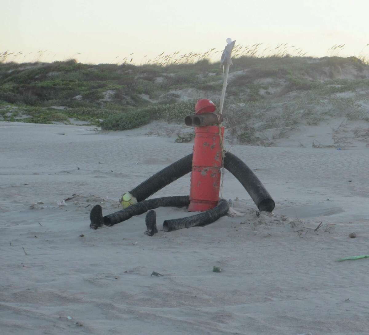 Padre Island National Seashore — a primitive, undeveloped beach awaits ...