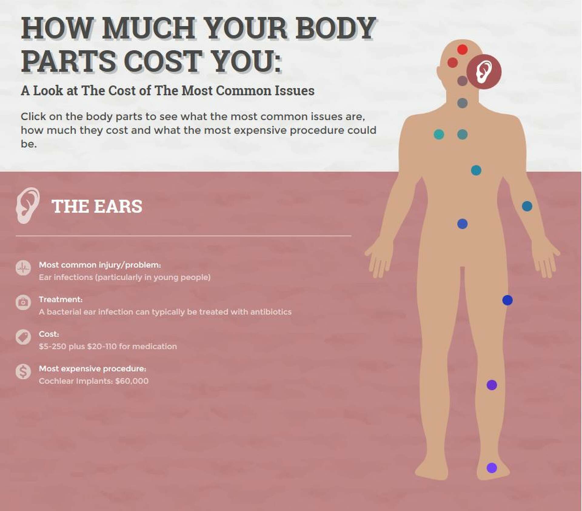 The most expensive body parts to get repaired, according to medical ...