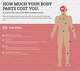 The most expensive body parts to get repaired, according to medical ...