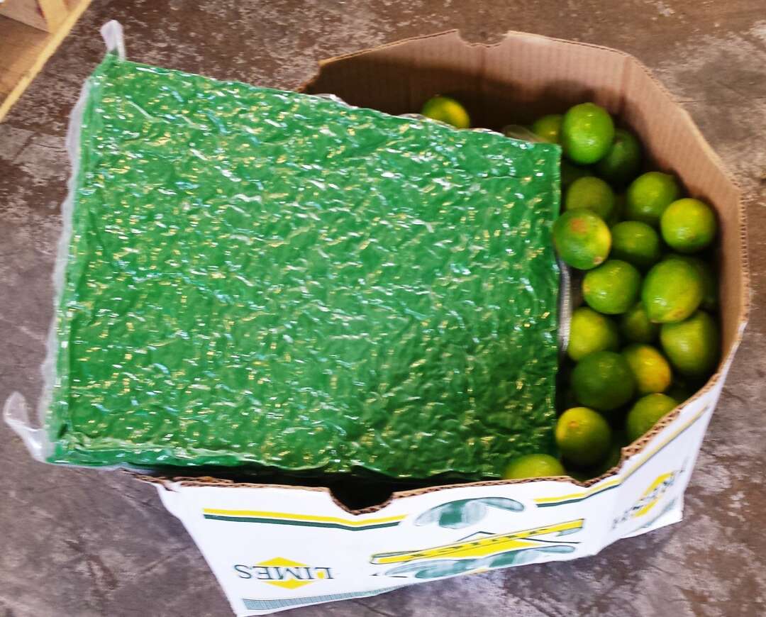 Border Patrol make big liquid meth bust in Texas