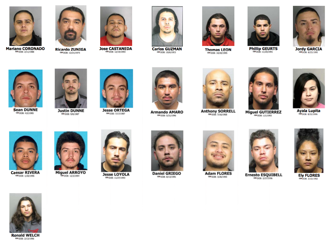 Gang task force nets two dozen arrests, guns, drugs