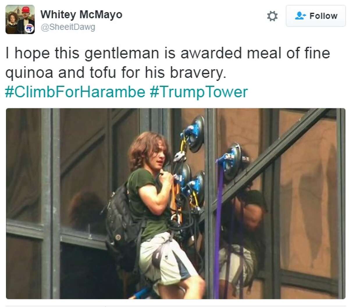 Man who climbed Trump Tower inspires epic memes