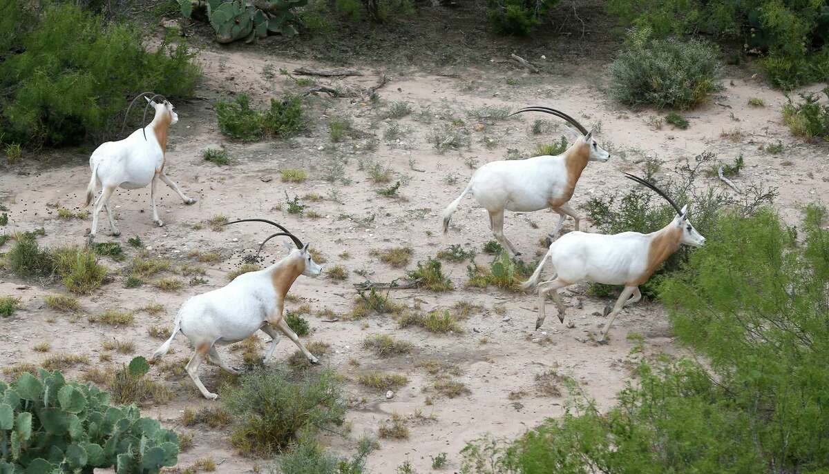 Hearing in Laredo to address controversial landfill plan
