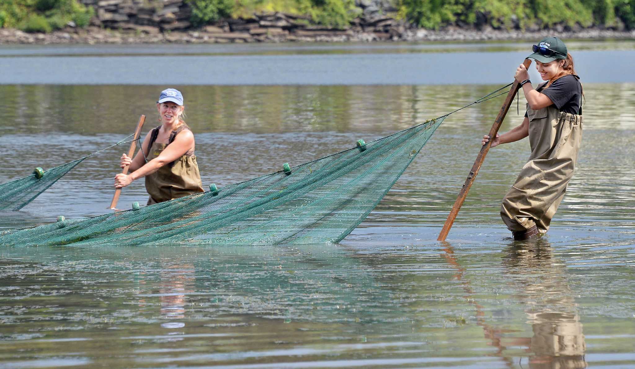 Hudson River fish count coming Saturday