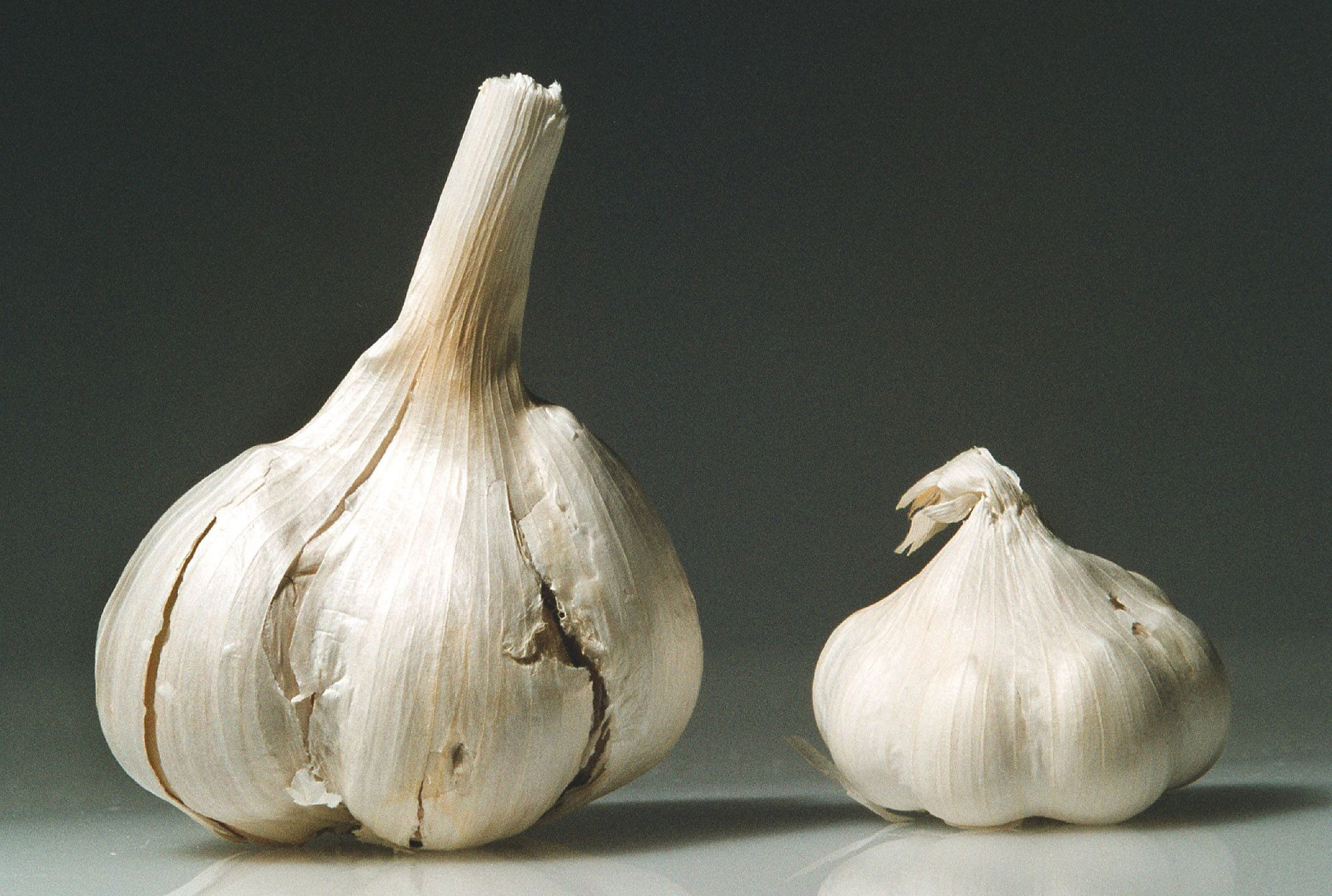 People's Pharmacy: Can smelly garlic conquer the cold sore?