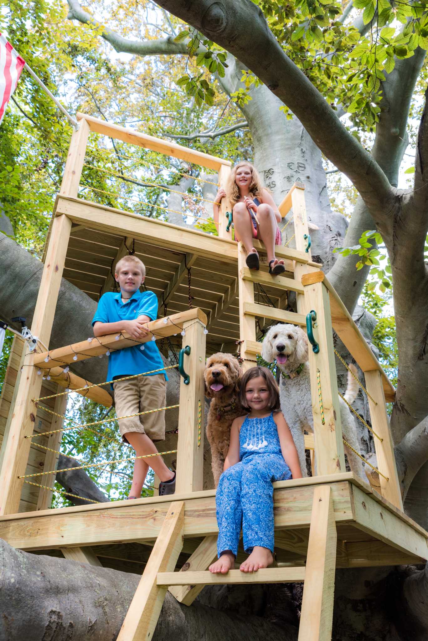 Creative canopy: Treehouses provide solace, inspiration and a place to play