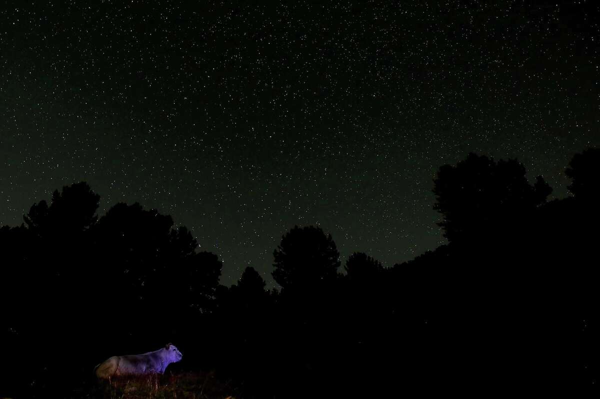 Perseid meteor shower wowed last night, more to come