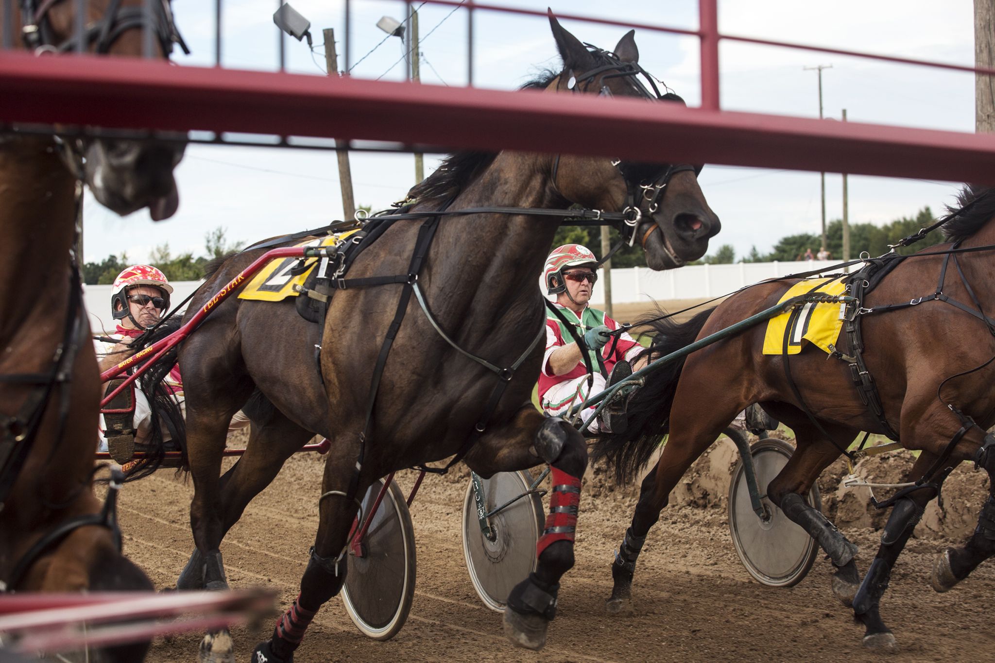 Spartan Futurity harness racing