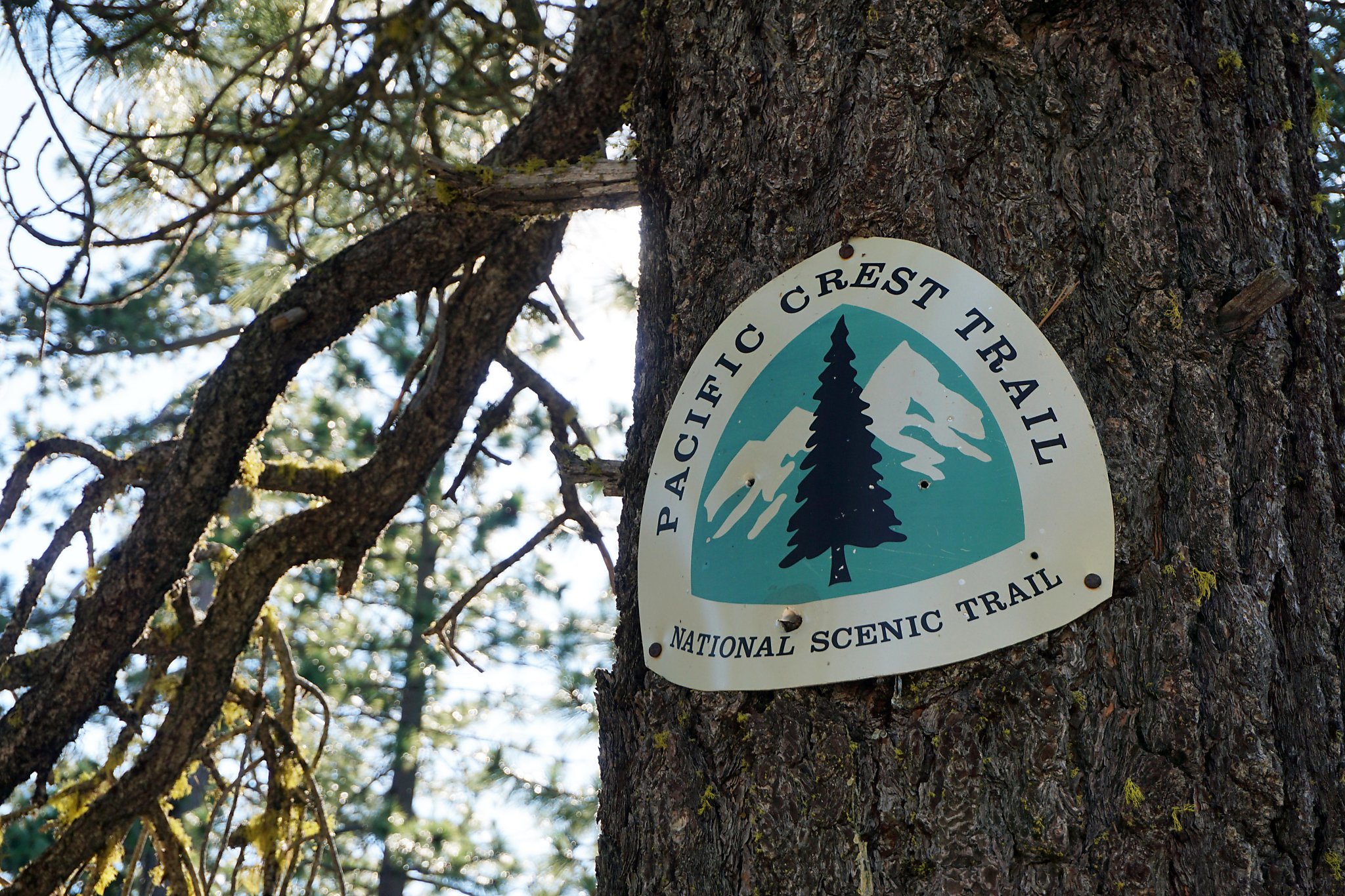 Pacific Crest Trail Logo